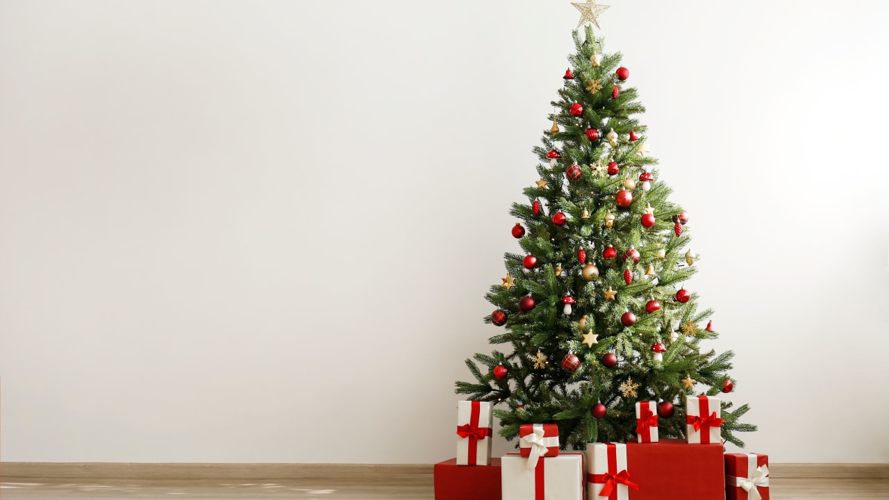 Prime de Noël 2023 : voici la date officielle de versement par la CAF ...