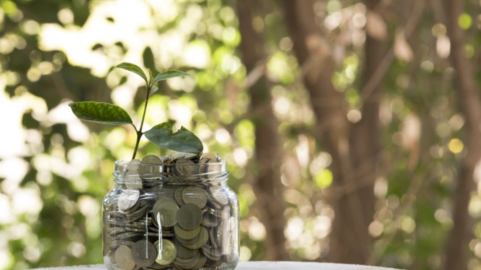 Taux assurance vie : combien va rapporter le nouveau fonds euros de La ...